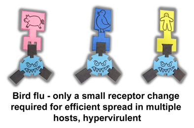 Flu Fighters! Activity - Eliza Wolfson