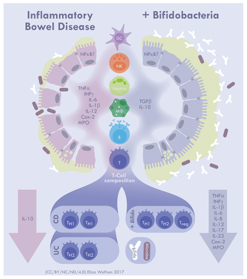 Graphical abstracts - Eliza Wolfson